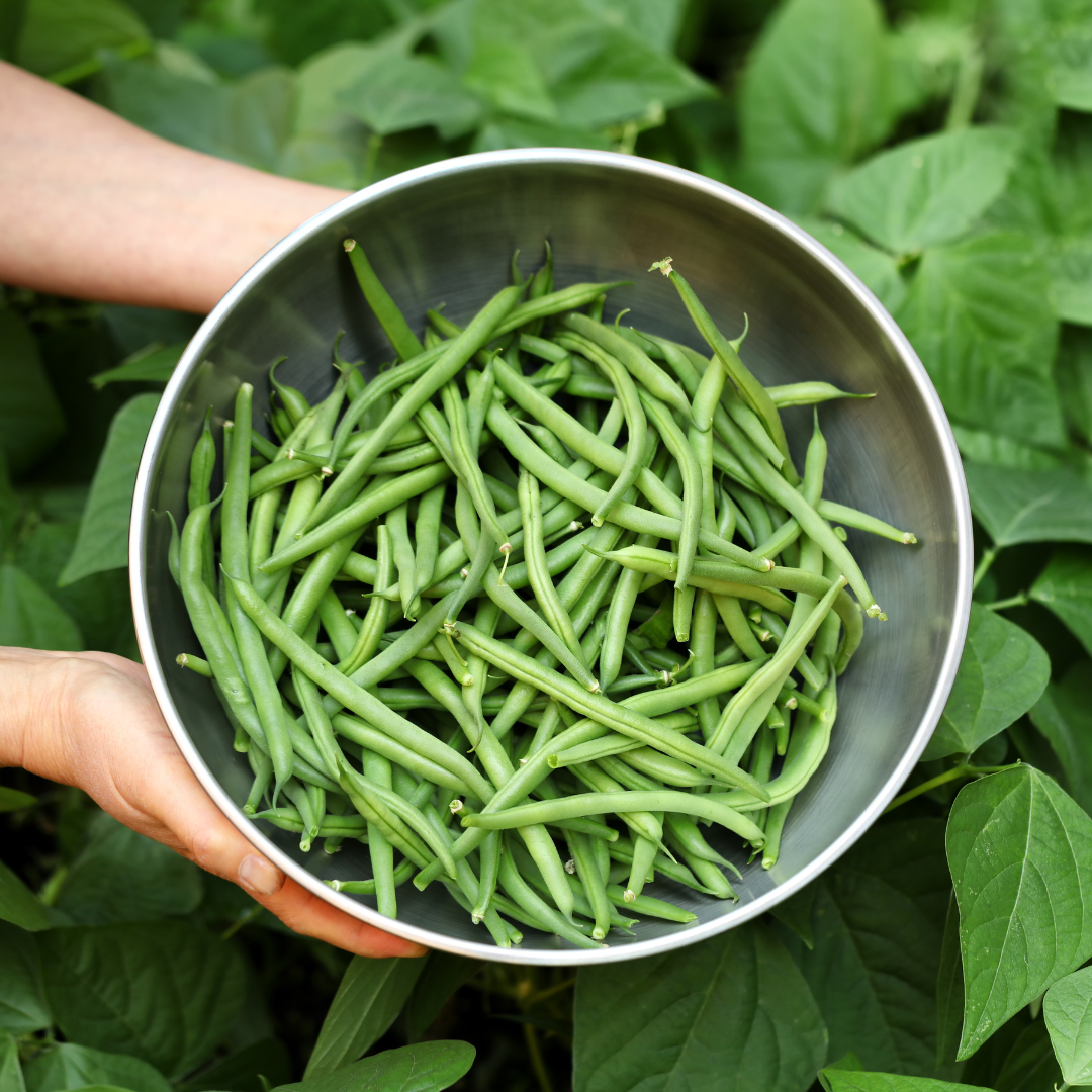 Lemony Green Beans – Saltery